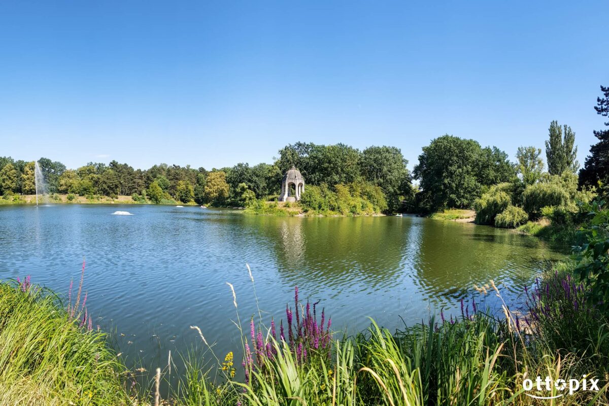 Rotehornpark Magdeburg • Stadtpark Rotehorn • Ottopix.de